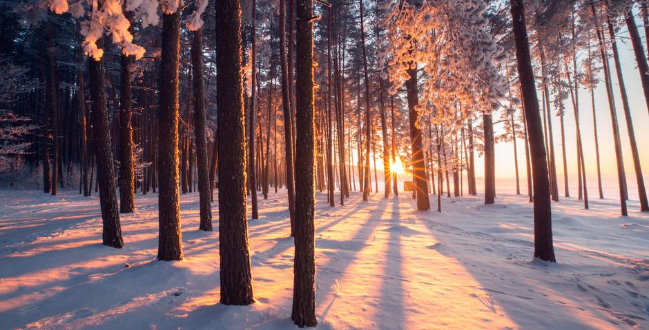 Circadian Lighting & Light Therapy Solutions | Osin